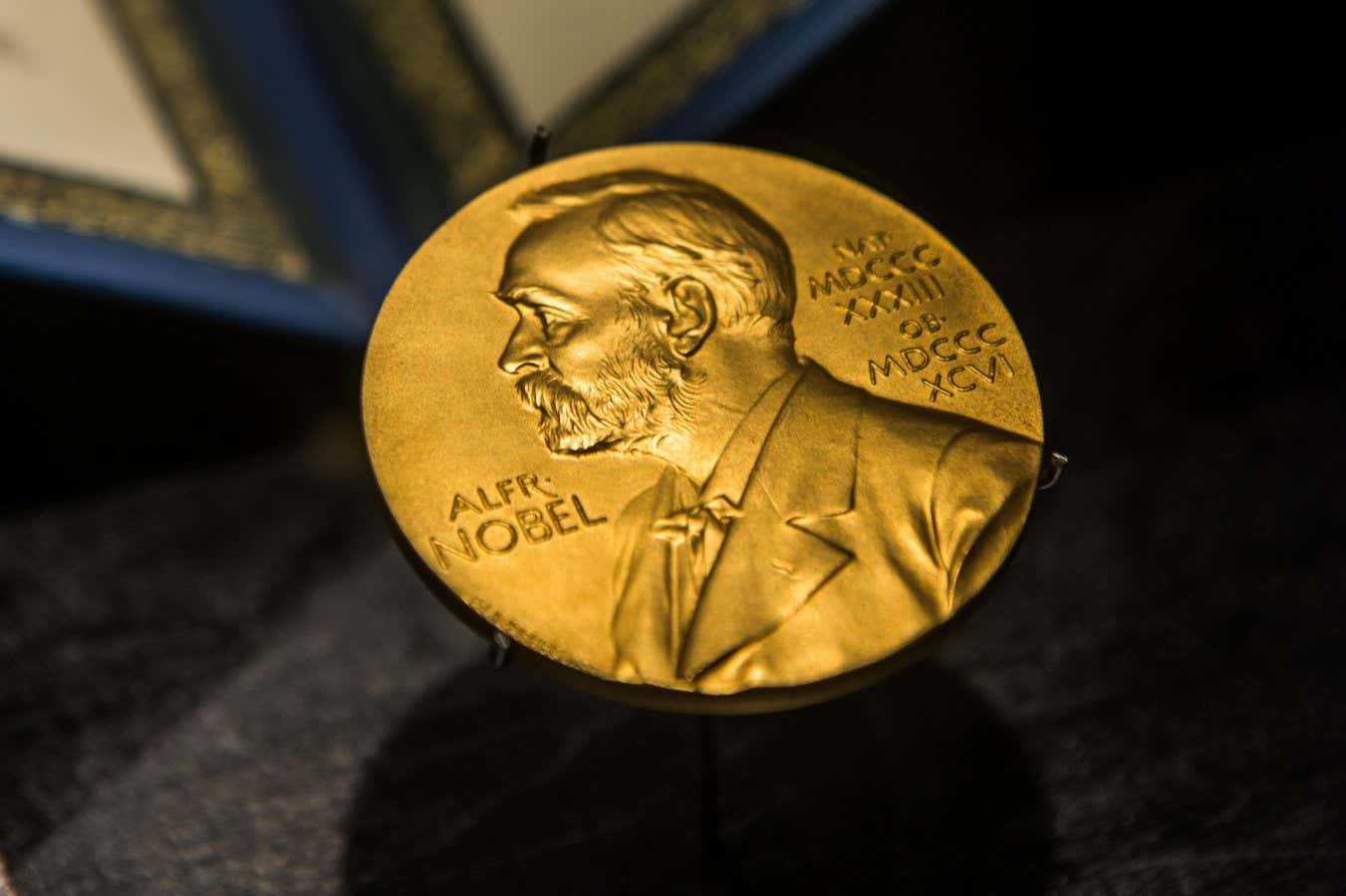 Nobel Prize Logo 1,793 Nobel Prize Medal Stock Photos, High Res